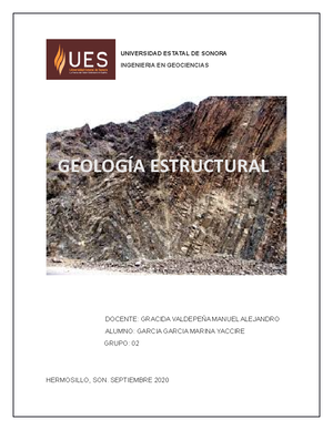 Trabajo Stockwork - UNIVERSIDAD ESTATAL DE SONORA INGENIERIA EN ...