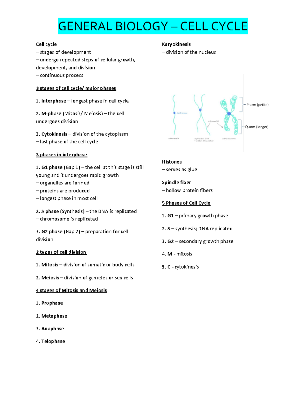 General Biology - Cell Cycle - GENERAL BIOLOGY – CELL CYCLE Cell cycle ...
