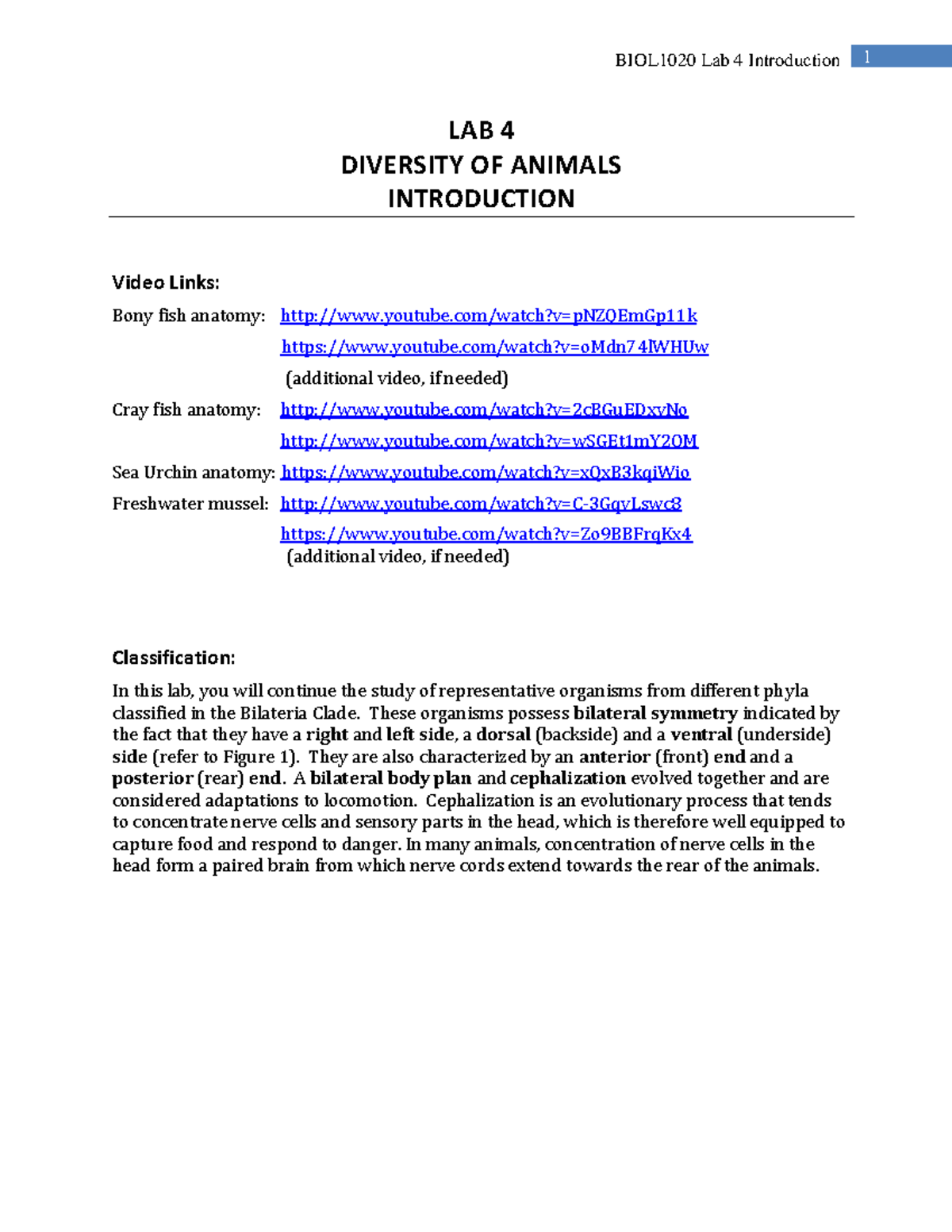 Lab 4-Introduction - Introduction to the fourth bio lab - LAB 4 ...