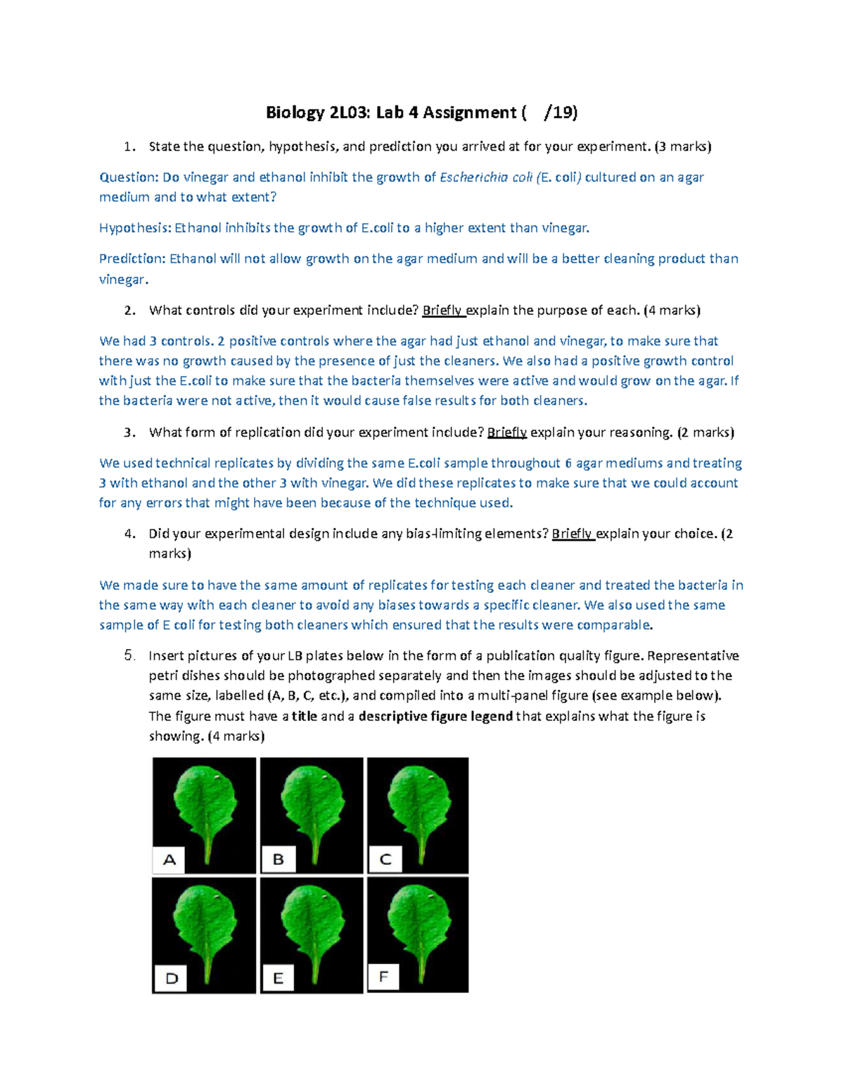 2L03 Lab 4 Assignment W24 - Biology 2L03: Lab 4 Assignment ( /19) State the question, hypothesis ...
