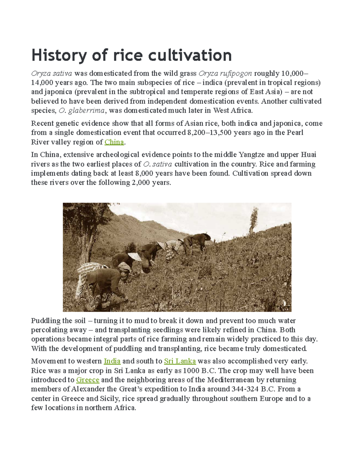 History of rice cultivation - History of rice cultivation Oryza sativa ...