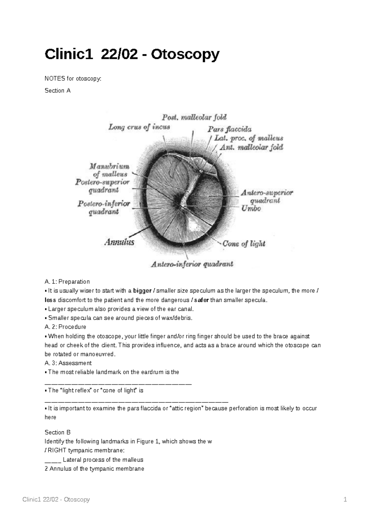 Tute2 2202 - Otoscopy - Tutorial HEAR654 - ONLY AN EXAMPLE (2022 ...