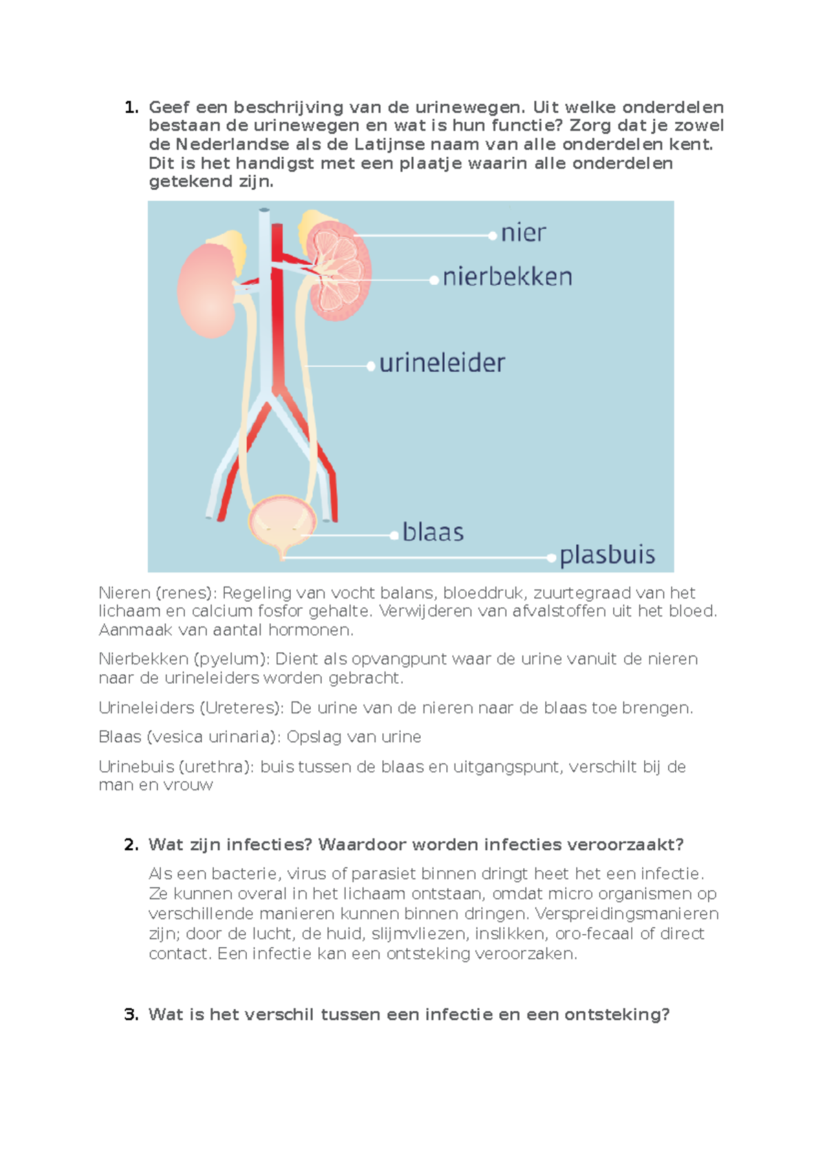 Tutortaak 4 urineweginfectie - Geef een beschrijving van de urinewegen ...