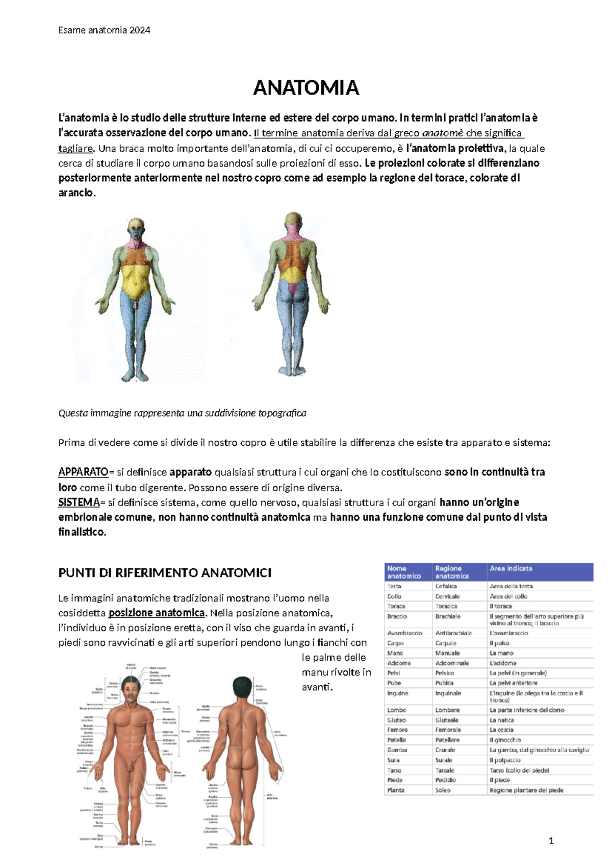 Anatomia - ANATOMIA L’anatomia è lo studio delle strutture interne ed ...