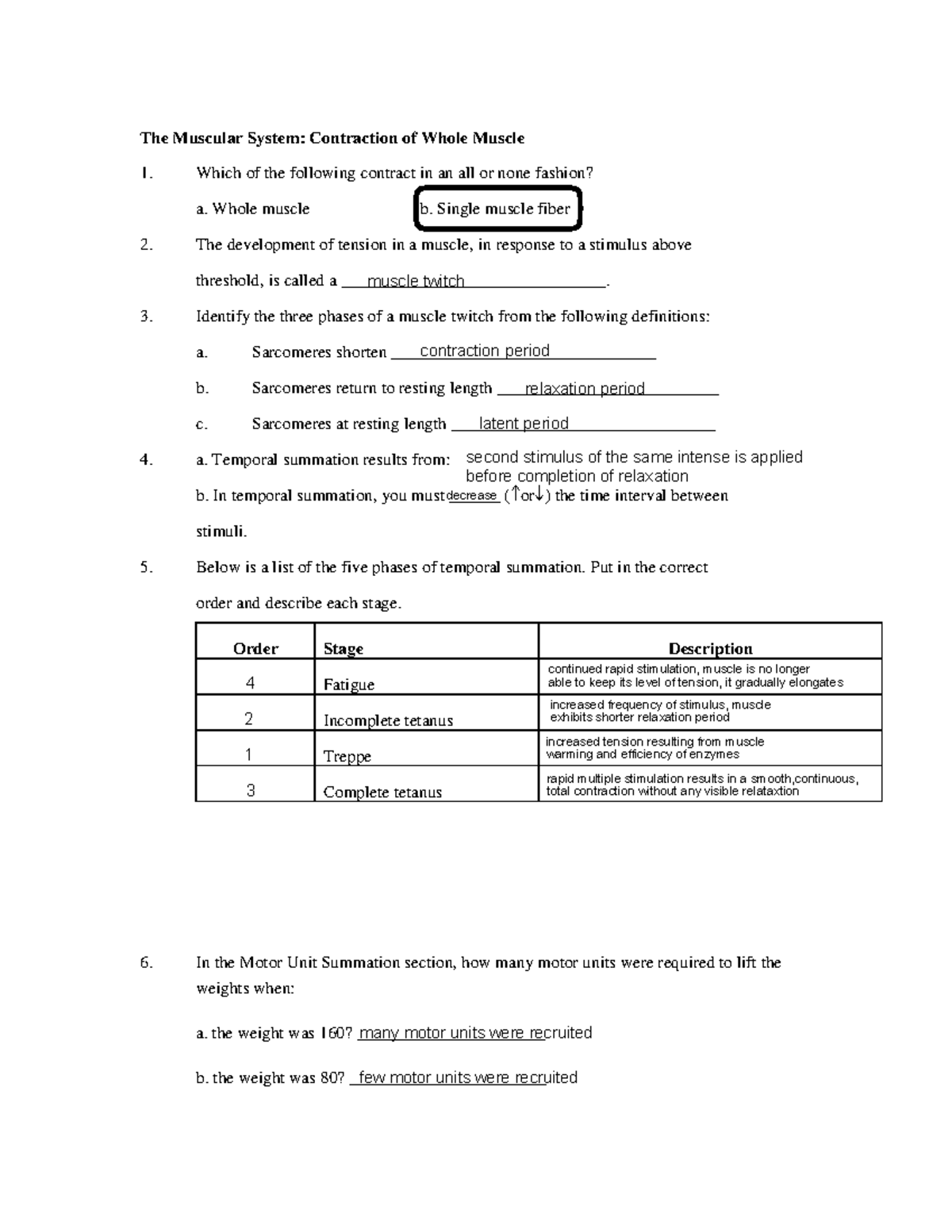 BIO 232 Contraction of Whole Muscle Worksheet - The Muscular System ...