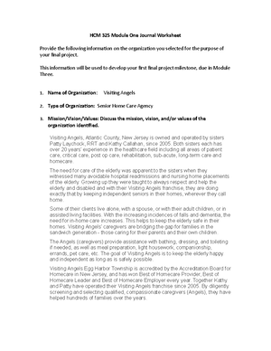 HCM 325 2-1 Short Paper Target Market Profile Worksheet - HCM 325 ...