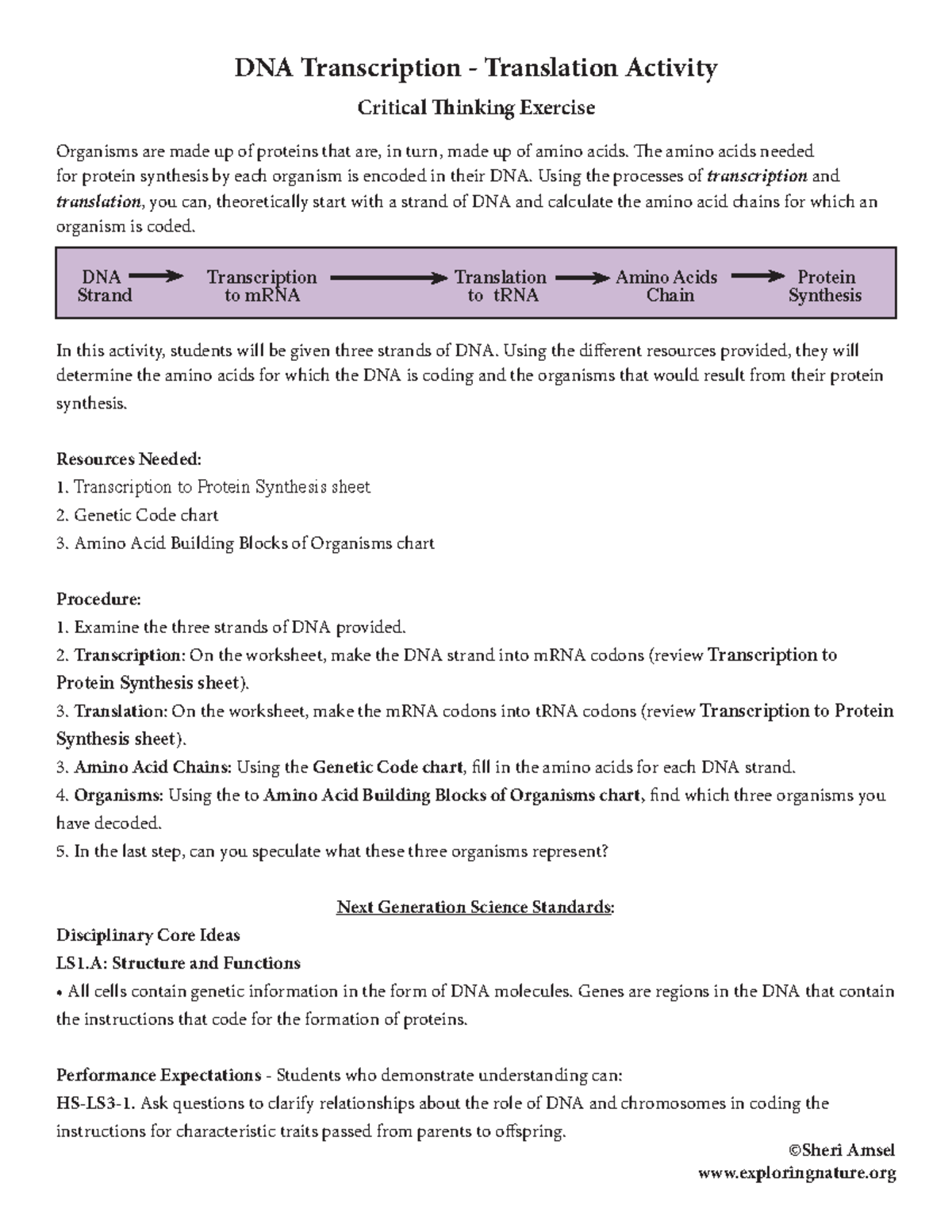 Gen Bio 1 Transcription Translation Activity-pages-1 - DNA ...