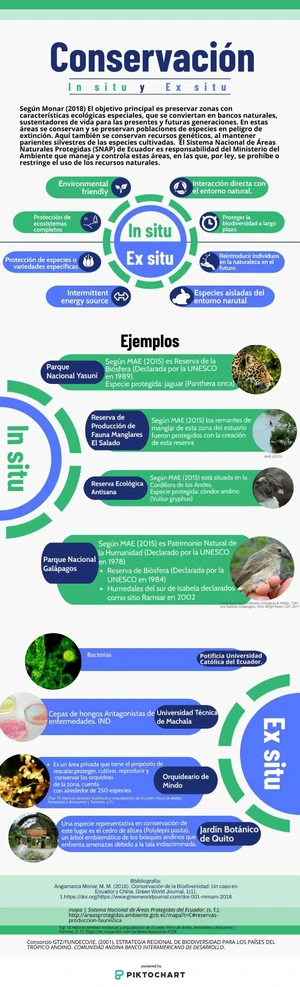 Infografìa DE Procesos DE Conservaciòn IN SITU Y EX SITU - las técnicas más usadas en el ...