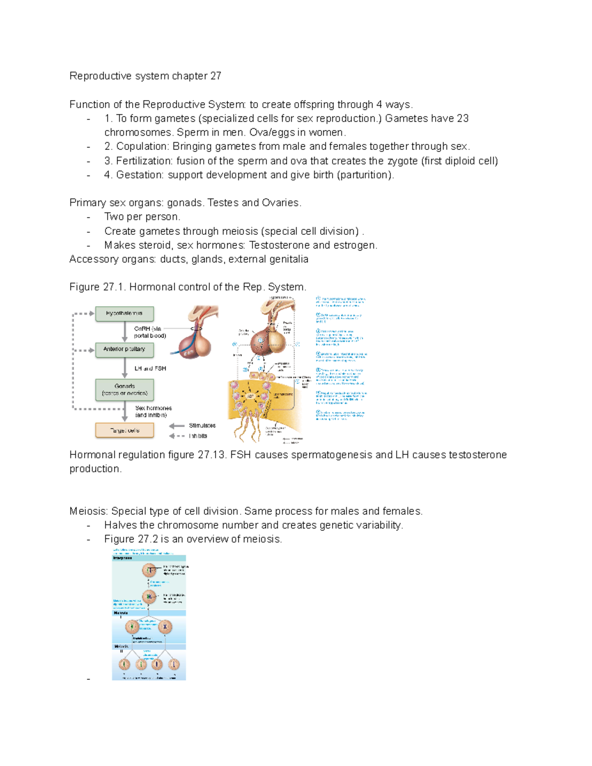 Anatomy and Physiology Two Book notes - Reproductive system chapter 27 ...