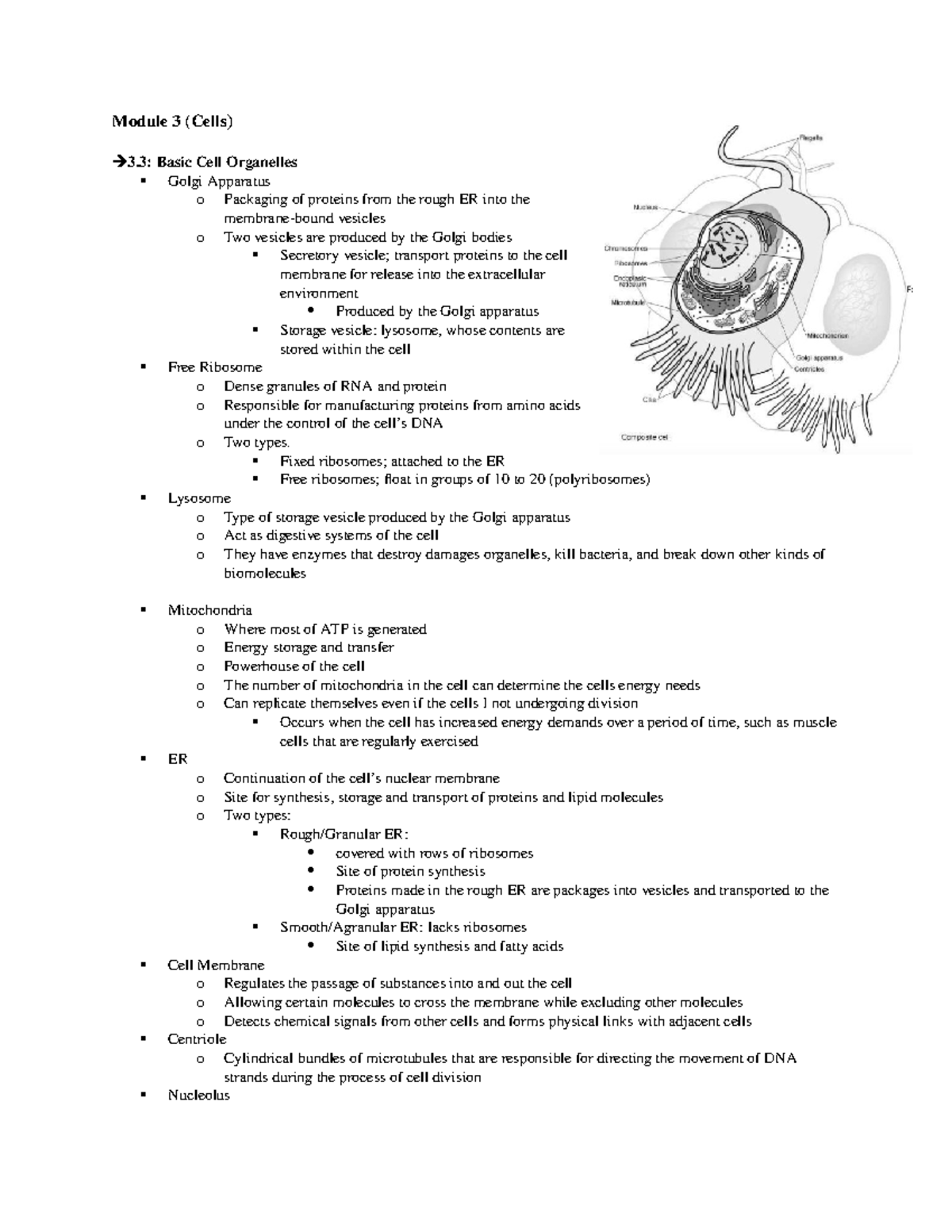 Module 3 (Cells); Physiology of Fluids: UOFT - Module 3 (Cells) 3 ...