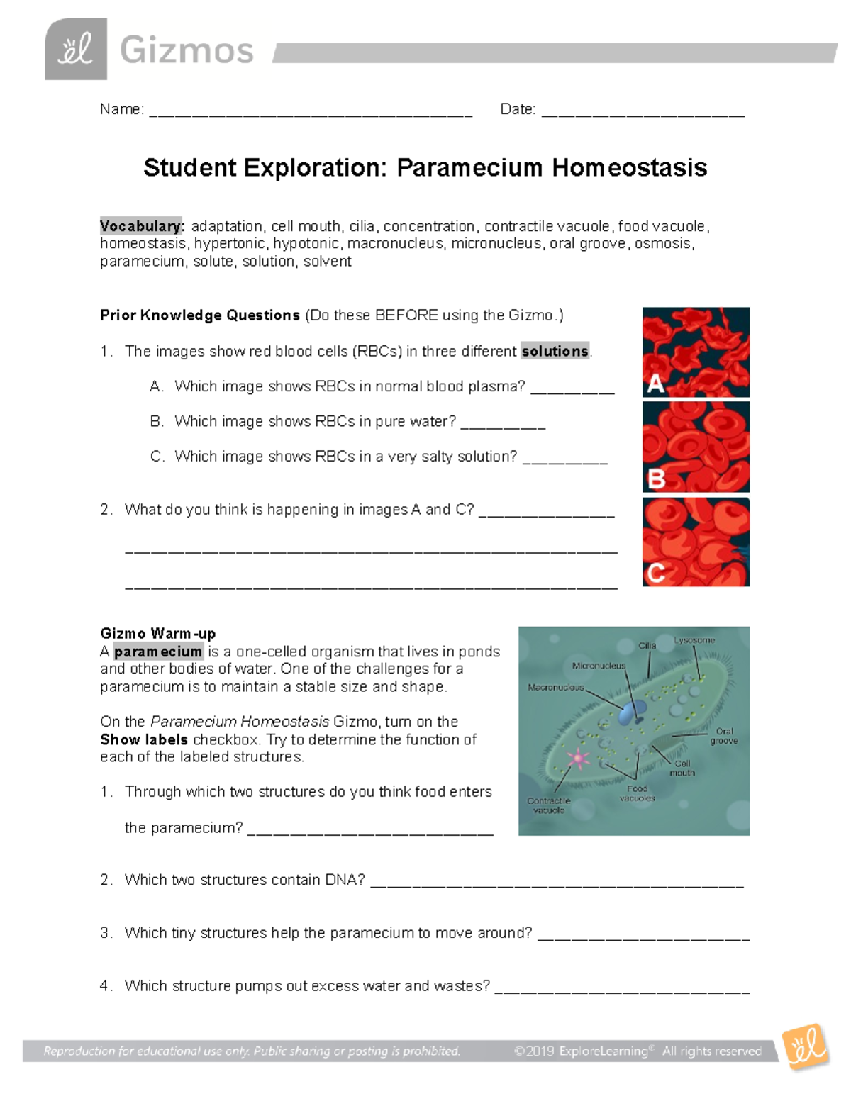 Paramecium Homeostasis Gizmo worksheet - Name ...
