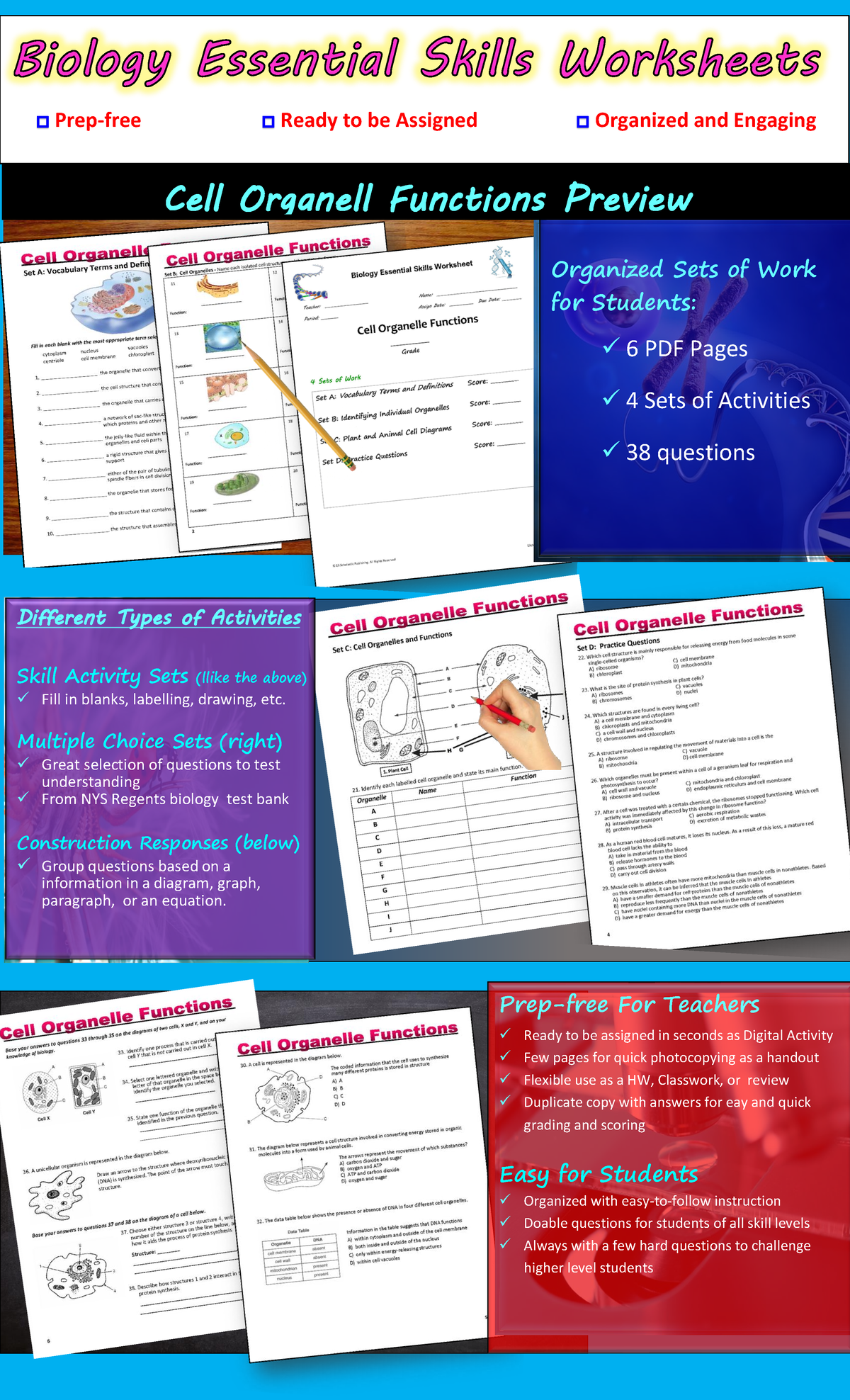 Cell Organelle Functions Preview - Organized Sets of Work for Students ...