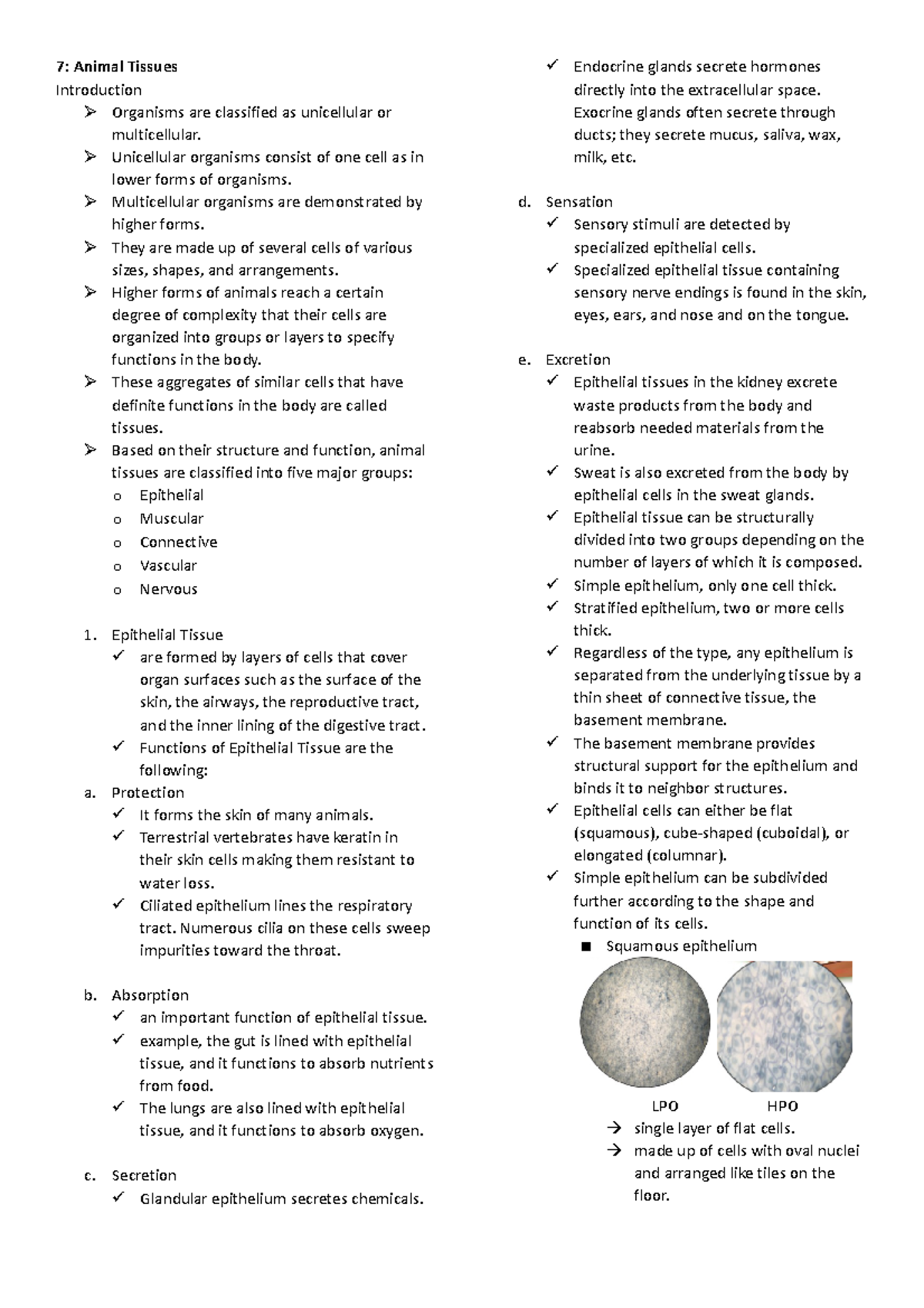 Biology Lecture Note 7 - 7: Animal Tissues Introduction Organisms are ...
