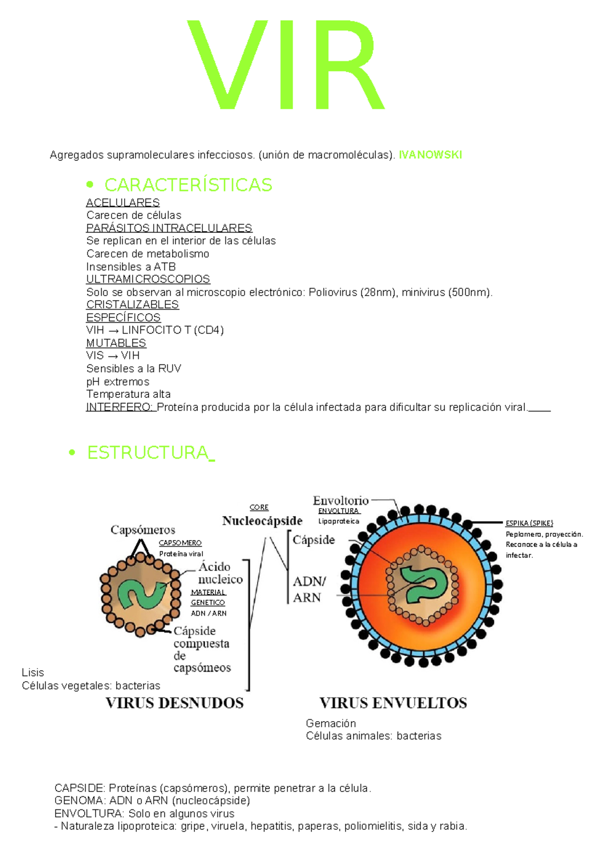 Virus - VIR Agregados supramoleculares infecciosos. (unión de ...