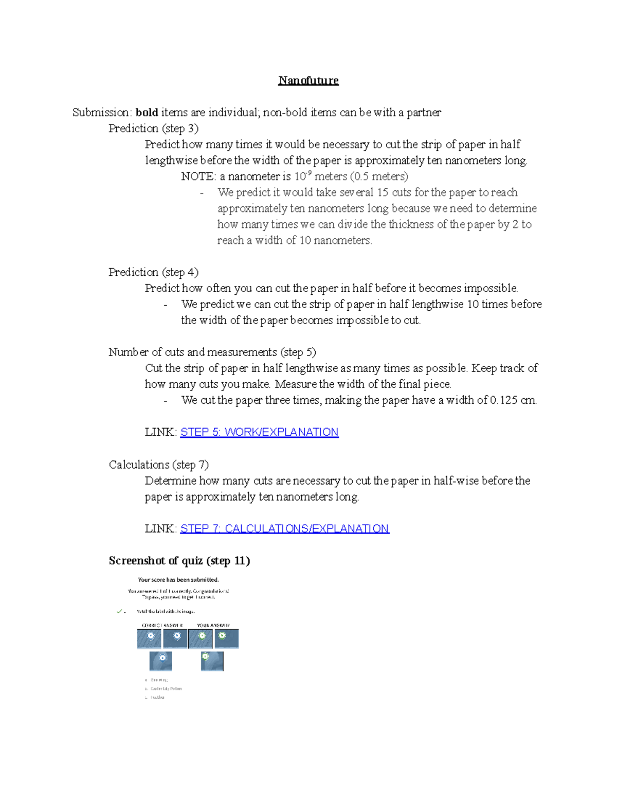 Nanofuture - Nanofuture Submission: bold items are individual; non-bold ...