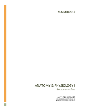 Muscular System - PDF study guides by Amy include charts, labeled ...