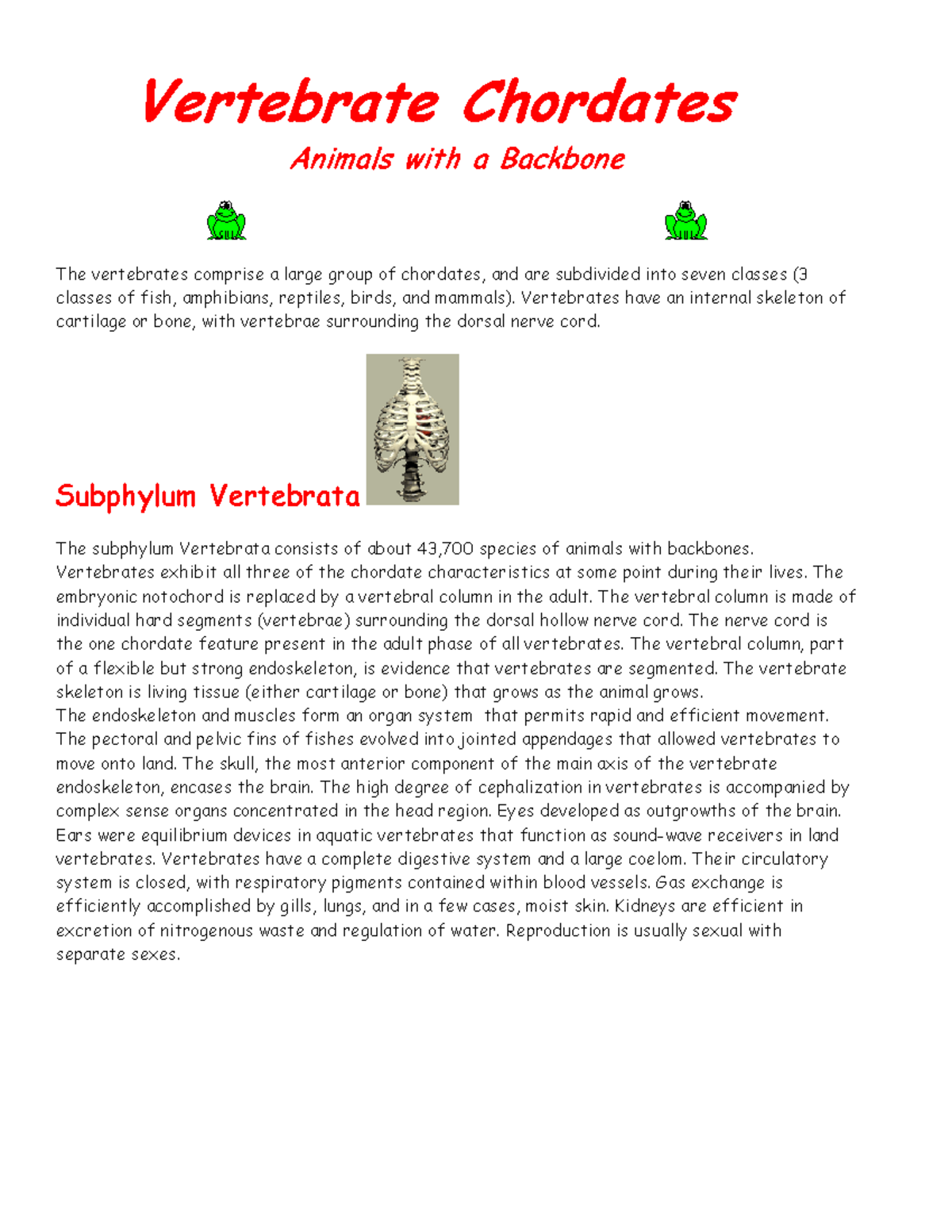 Zoo Vert Notes - Preparing for my final exam - Vertebrate Chordates ...