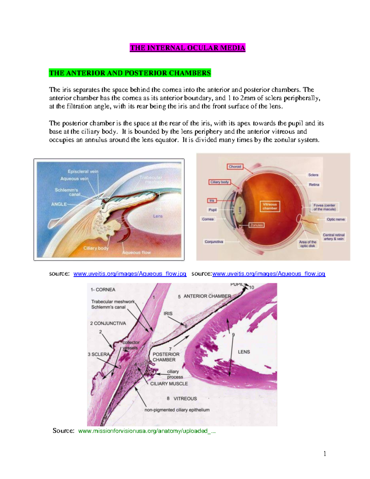 Internal Media OF THE EYE - THE INTERNAL OCULAR MEDIA THE ANTERIOR AND ...