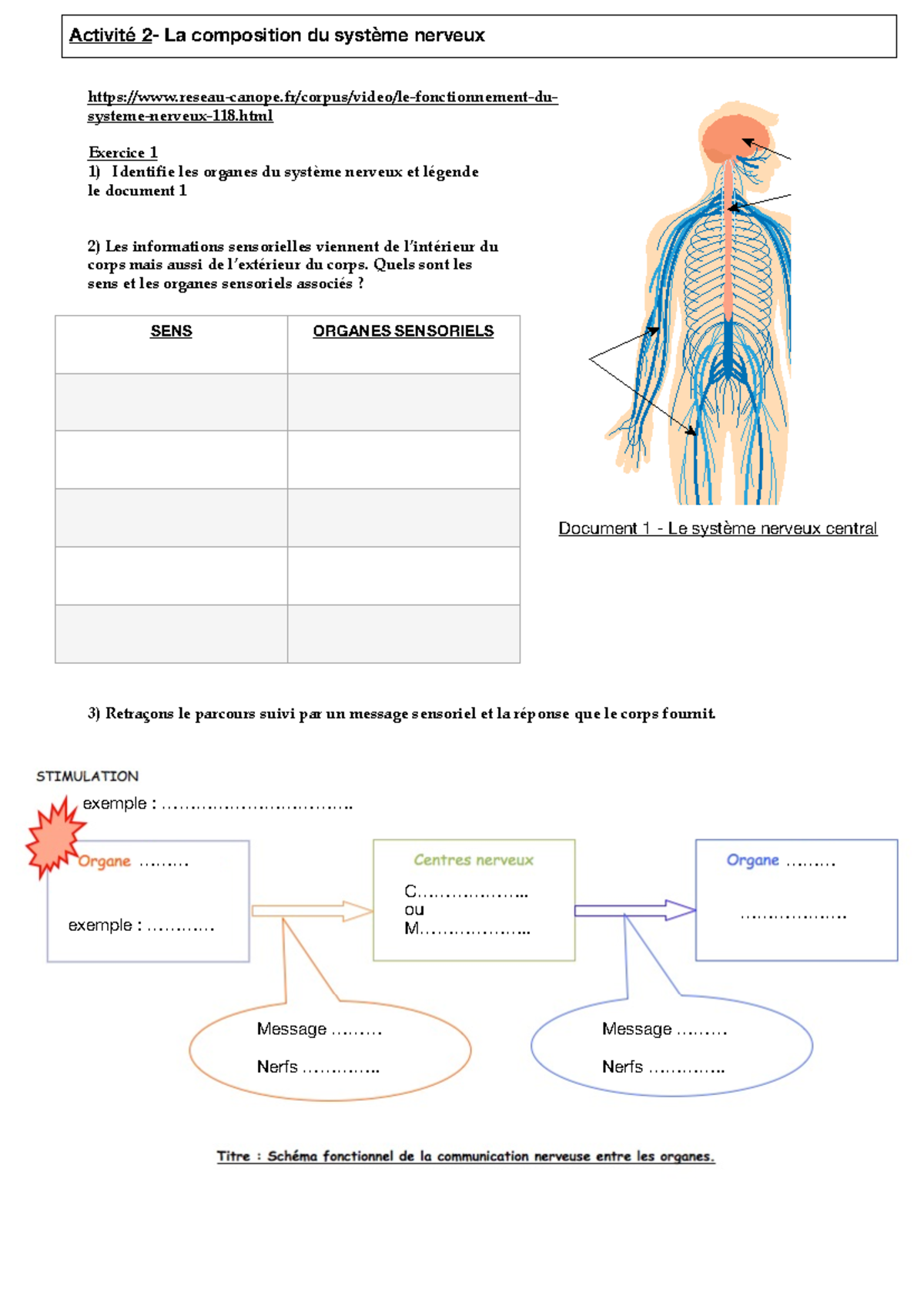 4e M1A2 Le système nerveux PDF - reseau-canope/corpus/video/le ...