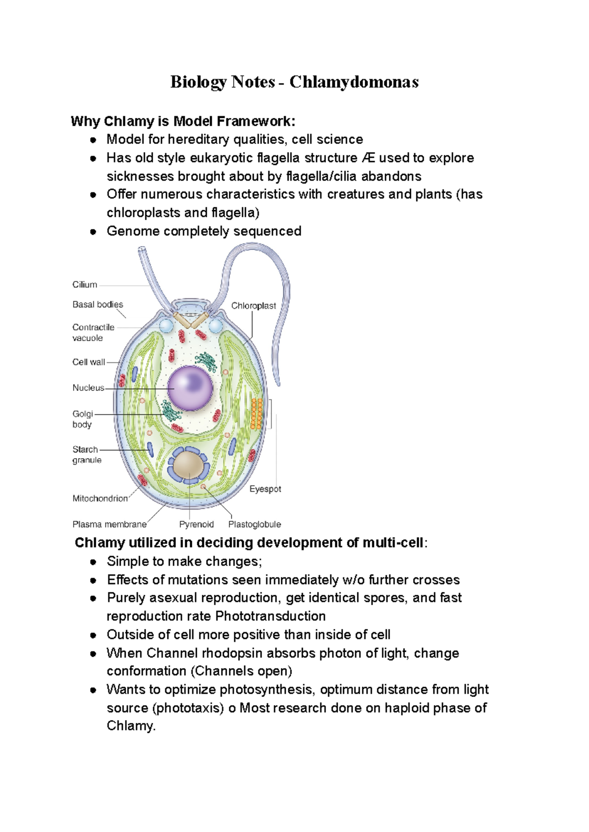 Biology Notes - Chlamydomonas - Phototransduction by CHANNELRHODOPSIN ...