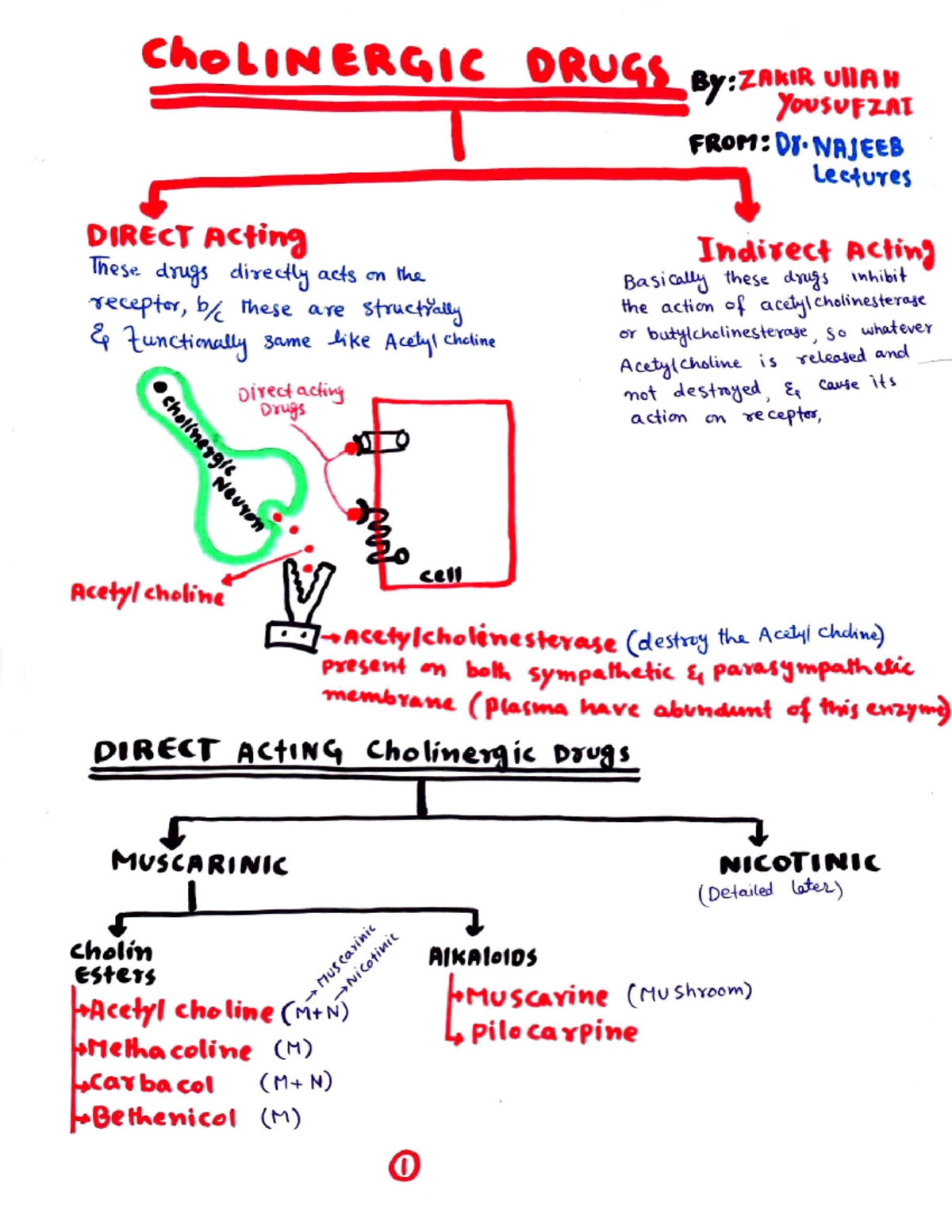Cholinergic drugs Zakirullah Yousufzai From Dr Najeeb lectures ...