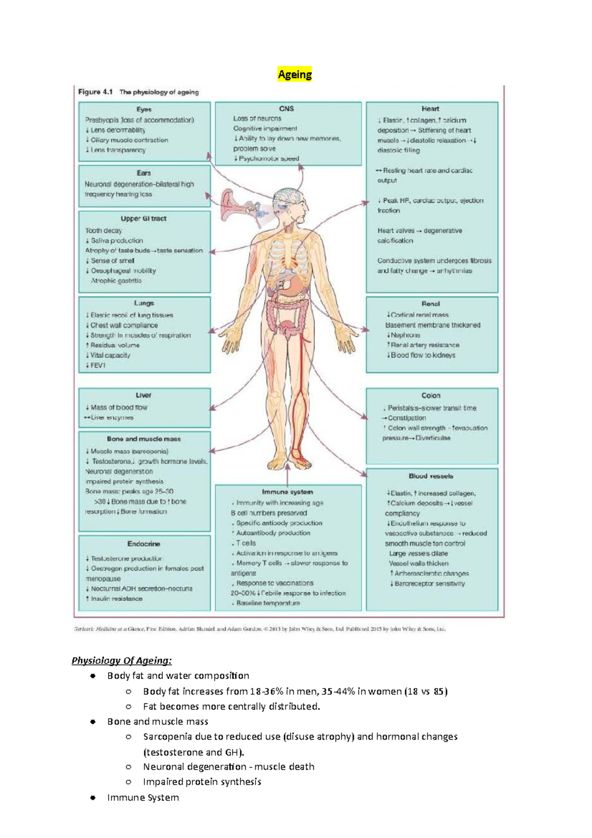 Ageing Pathology - Ageing Physiology Of Ageing: Body fat and water ...
