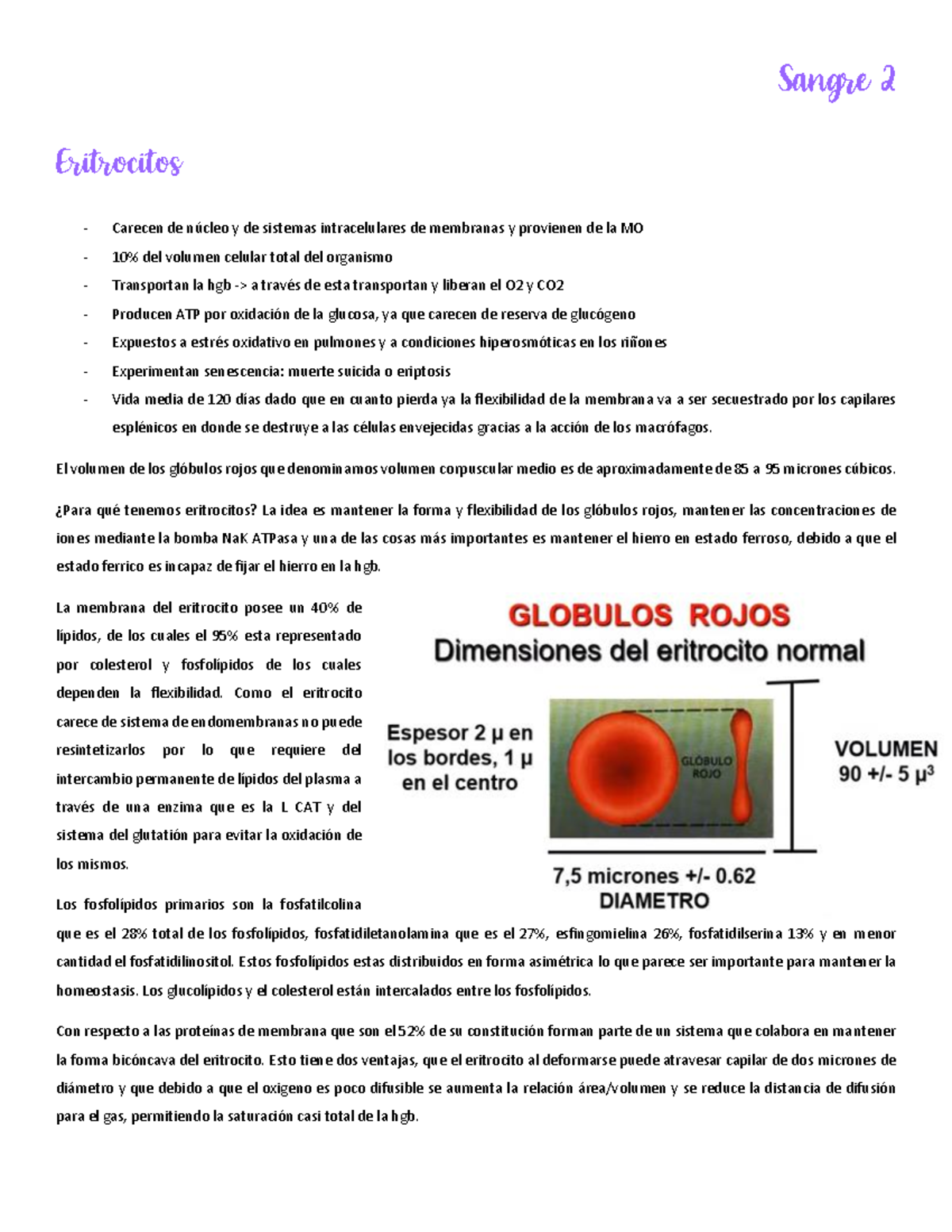 2 - Sangree 2 - Sangre 2 Eritrocitos Carecen de núcleo y de sistemas ...
