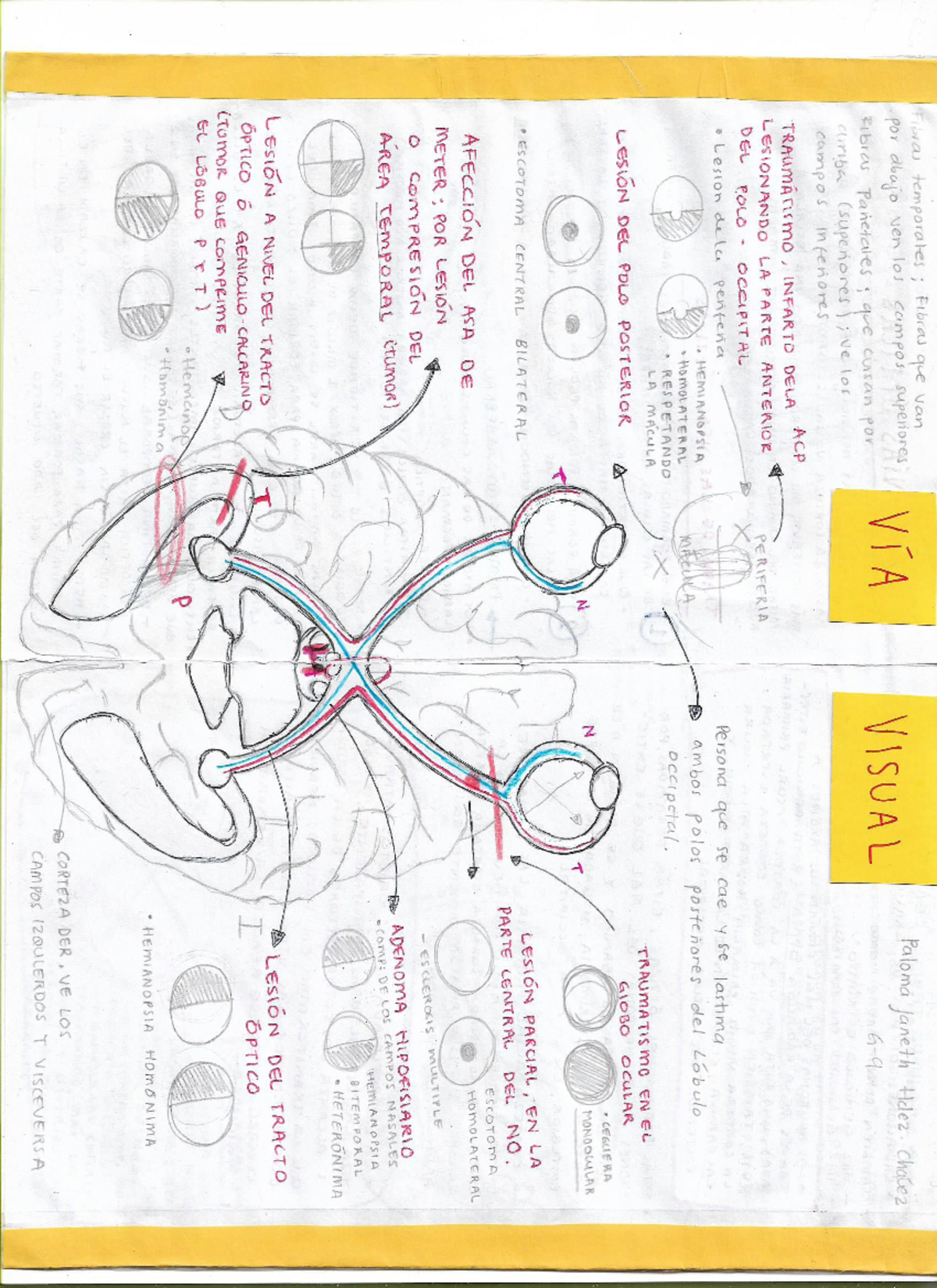 Via visual- oftalmologia - “L. ...”...3.... uZﬂTnﬂL. .. mu. H r... PA ...