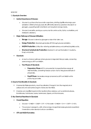 Anatomy and Function of the Respiratory System - Functional Zones: It ...