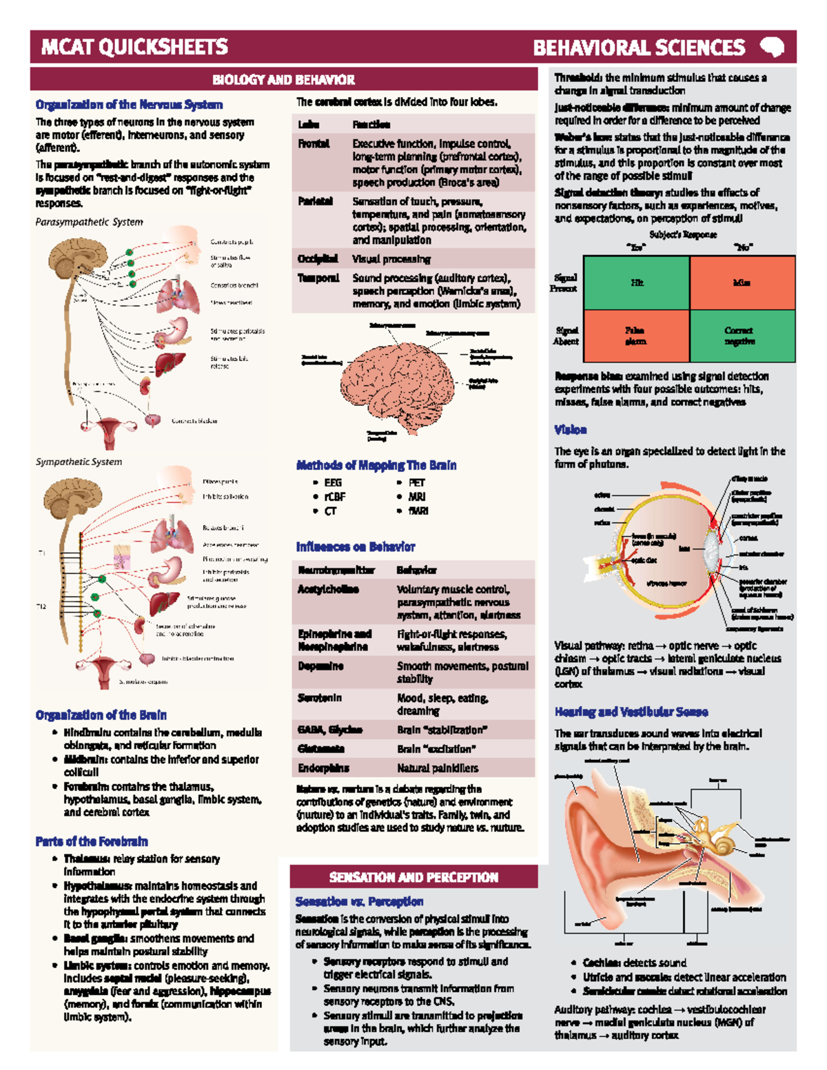 MCAT Study Guide - Hth Sci 1H06 - Studocu