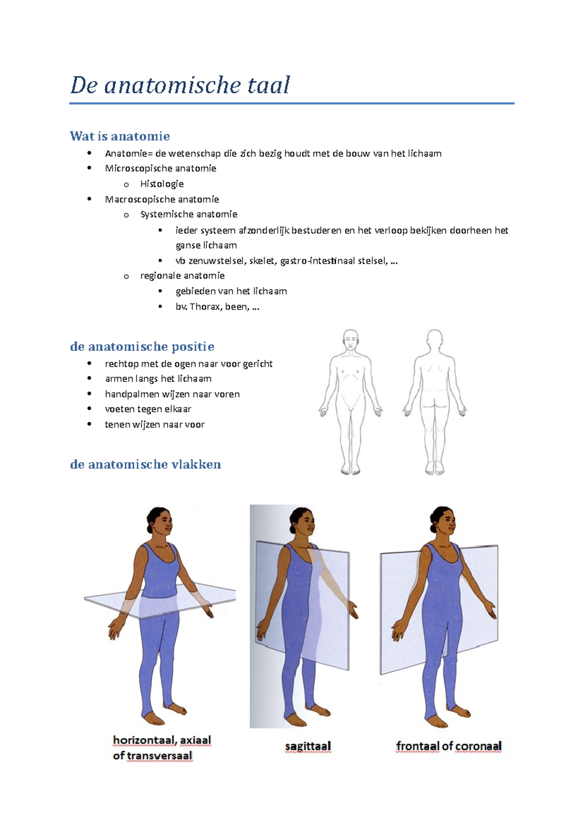 De anatomische taal - .. o regionale anatomie gebieden van het lichaam ...