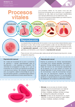 Cretib - CRETIB es un acrónimo que identifica las características de ...