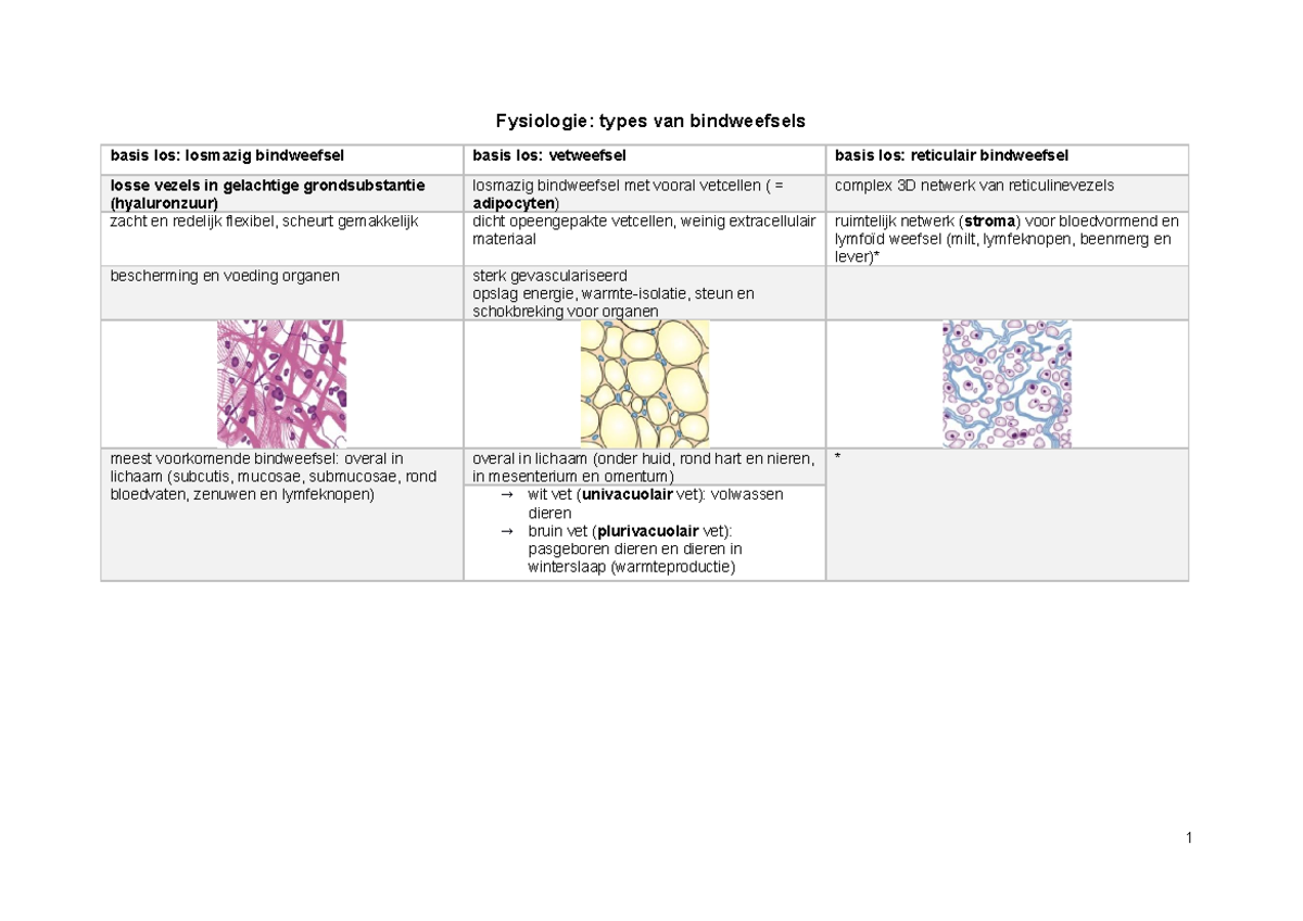 Types bindweefsels tabel - Fysiologie: types van bindweefsels basis los ...