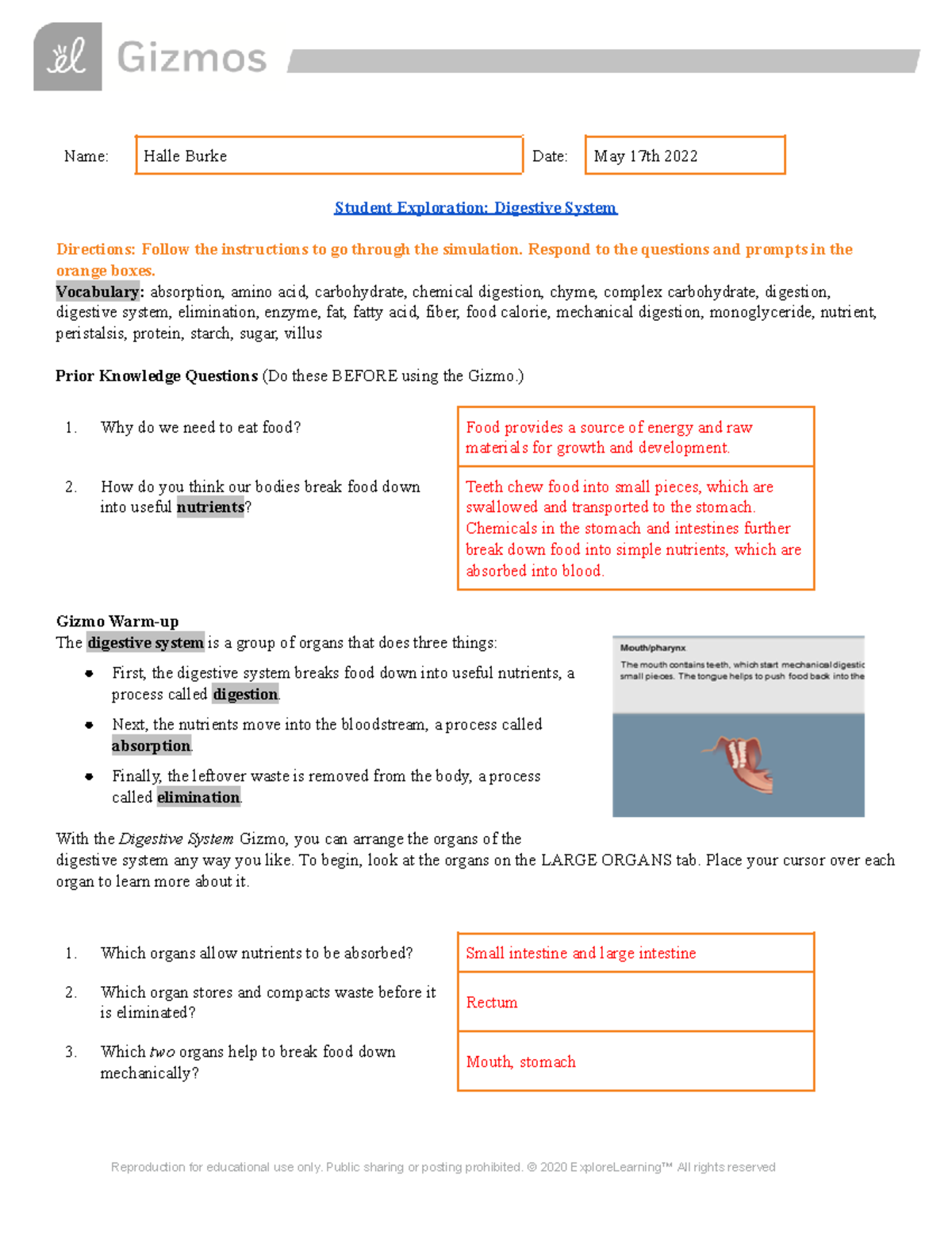 Digestive System Gizmo - Name: Halle Burke Date: May 17th 2022 Student ...
