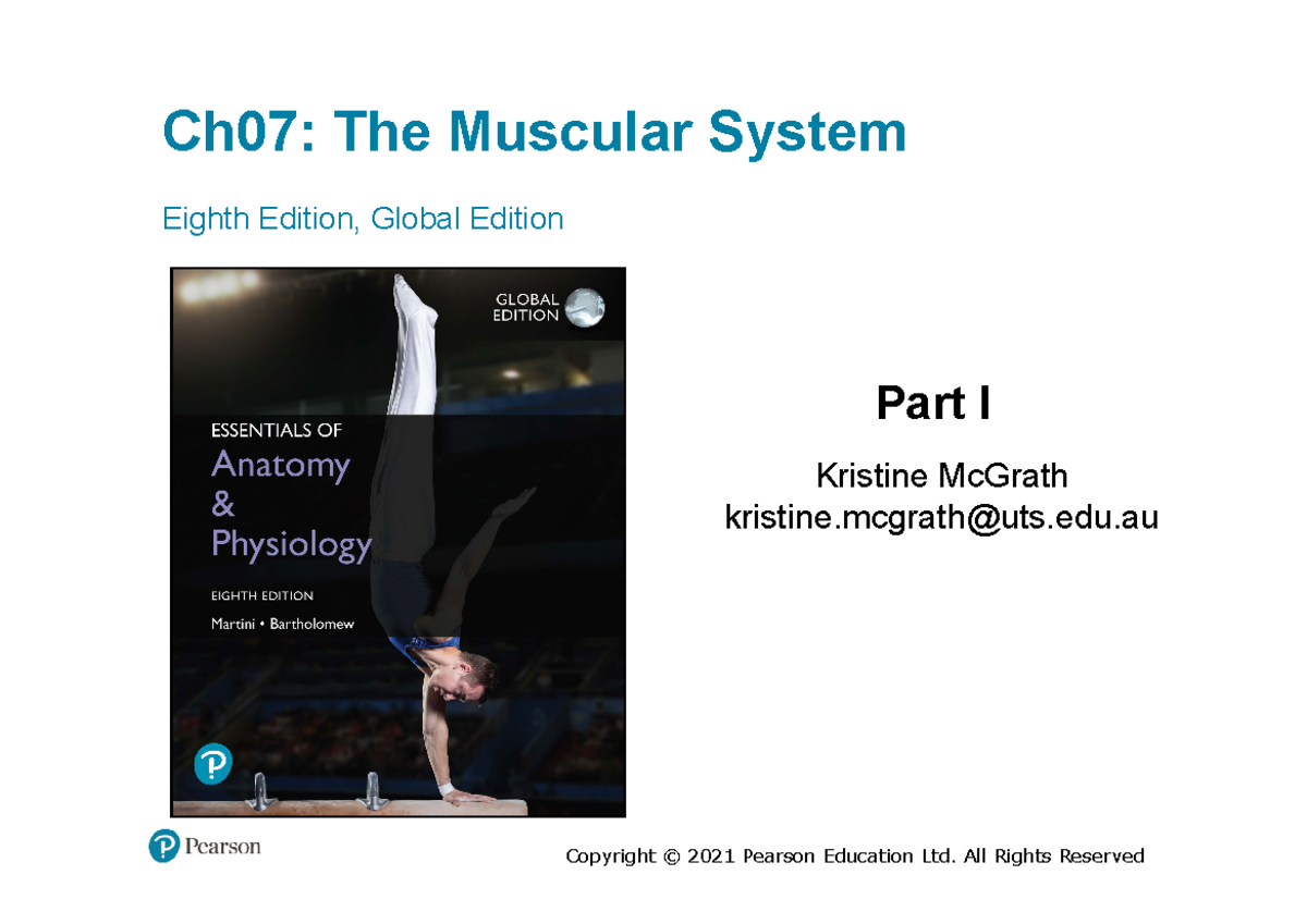 Part 1 HAP Muscles - lec notes - Ch07: The Muscular System Eighth ...