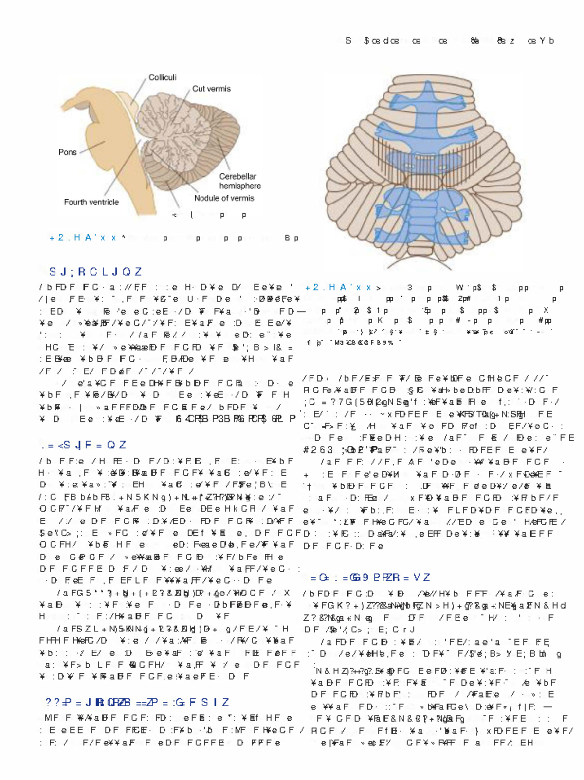 Clinical Neuroanatomy-36 - Cerebellar tonsil FIGURE 7-1 5 M idsagitta l ...