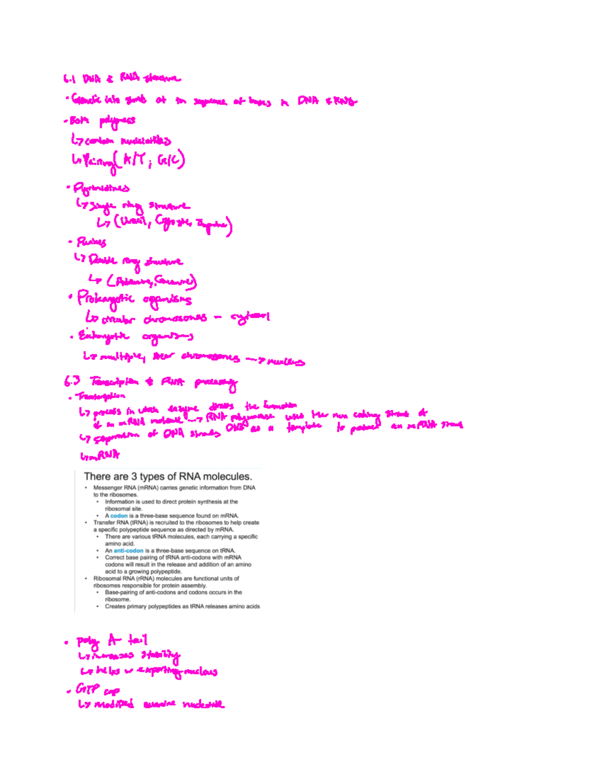 Unit 6 Notes classroom - 1 DNA a RNAstructure Geneticintostored at an ...