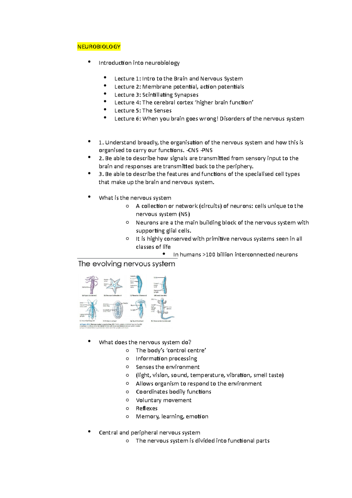Neurobiology lecture notes - NEUROBIOLOGY Introduction into ...