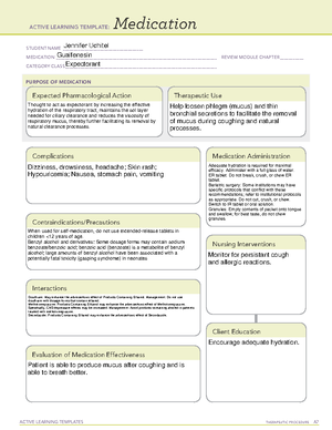 Active Learning Template sys Dis - ACTIVE LEARNING TEMPLATES ...