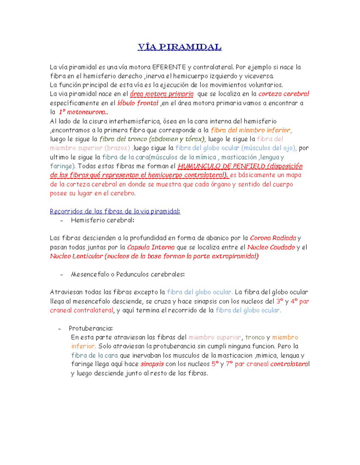 Vía Piramidal - ghgjgj - Vía Piramidal La vía piramidal es una vía ...