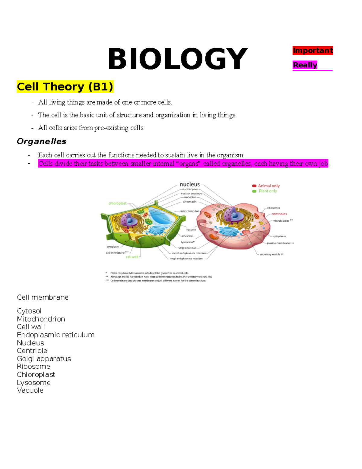 Biology notes - Important Really important BIOLOGY Cell Theory (B1) All ...