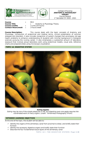 Digestive System Transes - LESSON 14 | DIGESTIVE SYSTEM 1 DIGESTIVE ...