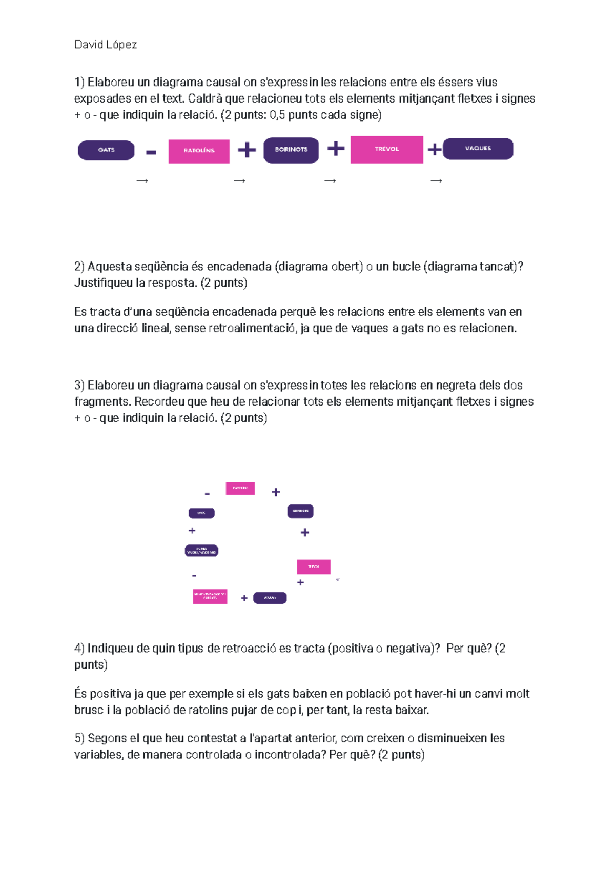 L1ACR1 Relacions vídues i trèvols - David López Elaboreu un diagrama ...