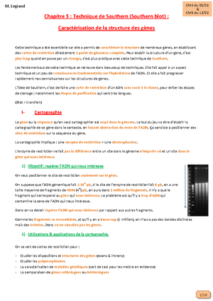 Chap 7 La traduction - Chapitre 7 : La traduction : Synthèse des ...