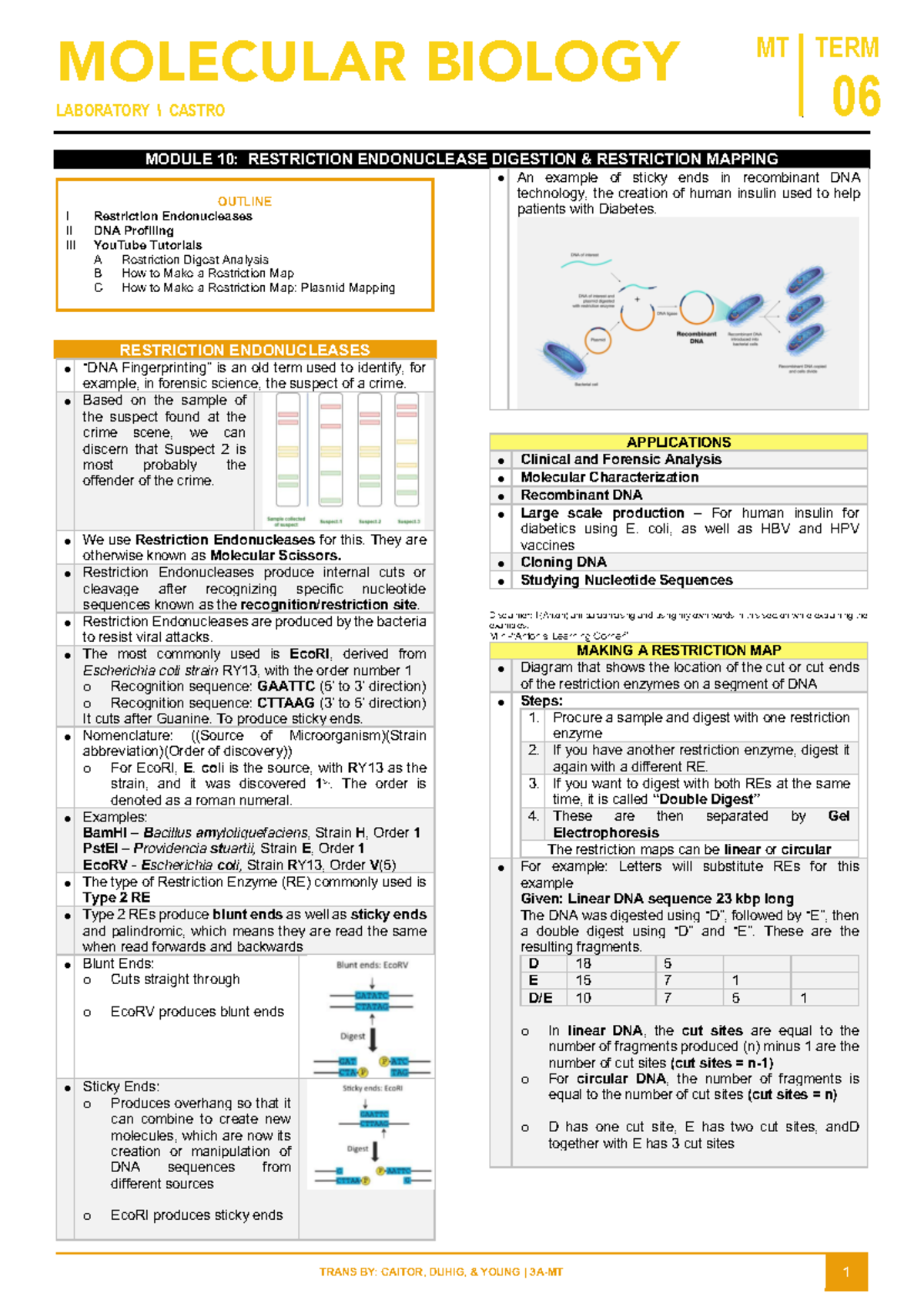 Molbio MT122 Laboratory 10 Restriction Endonuclease Digestion ...