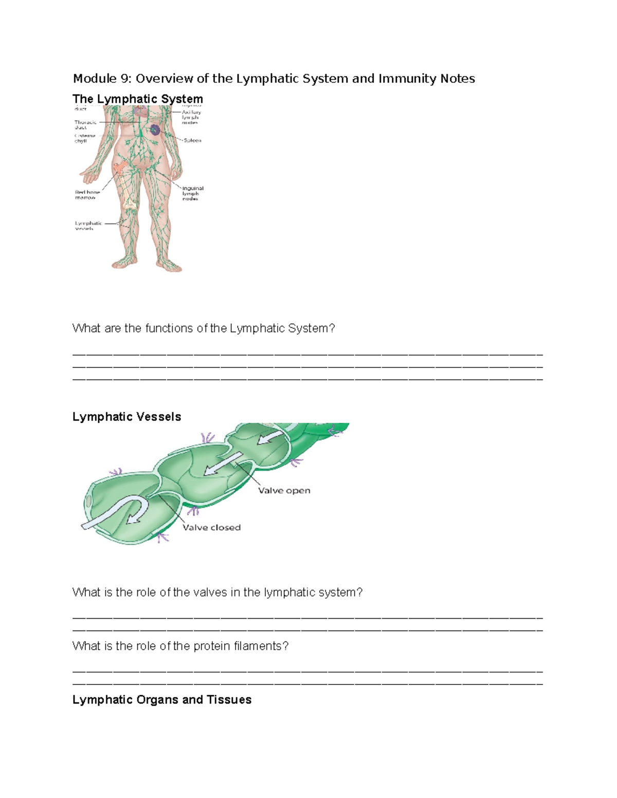Module 9 - Overview of the Lymphatic System & Immunity - Module 9 ...