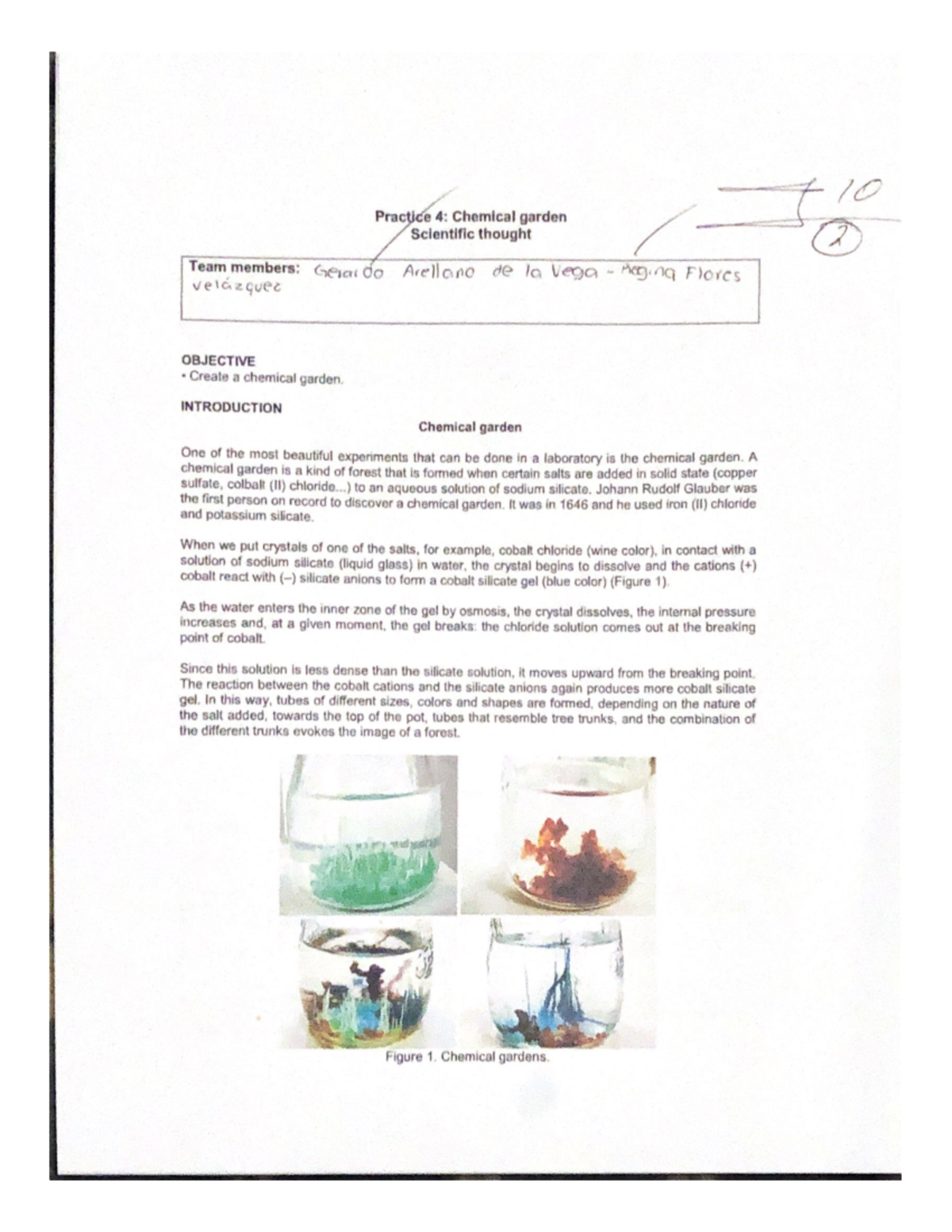 Practice 4 Chemical garden - Scientific thought - Studocu