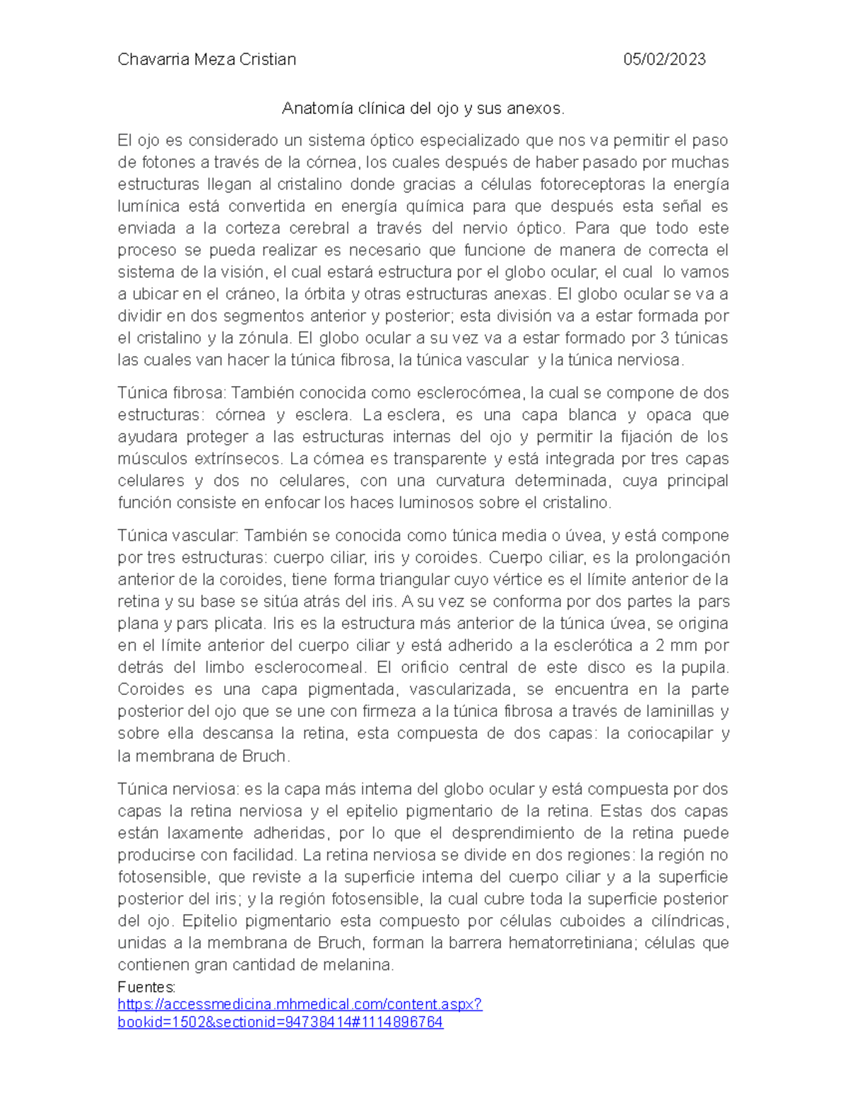 Anatomía clínica del ojo y sus anexos - El ojo es considerado un ...