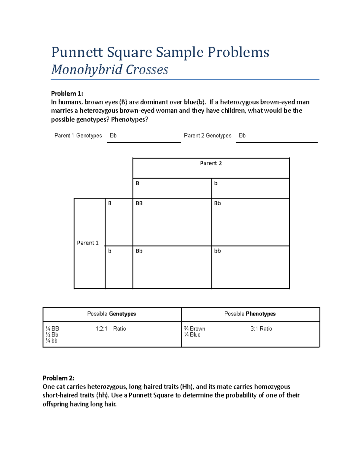 11. Monohybrid Punnett Square - Rafia Ahmad - Punnett Square Sample ...