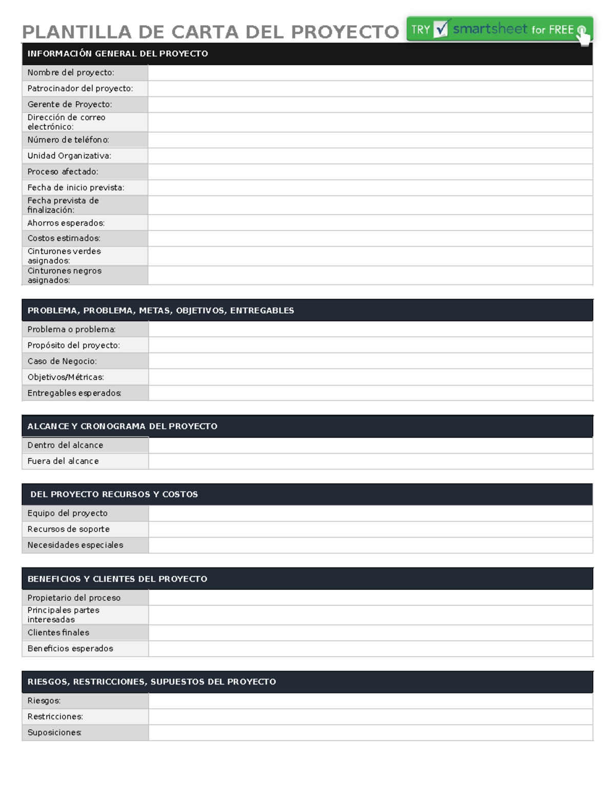 IC-Project-Charter-Plantilla de carta del proyecto - PLANTILLA DE CARTA ...